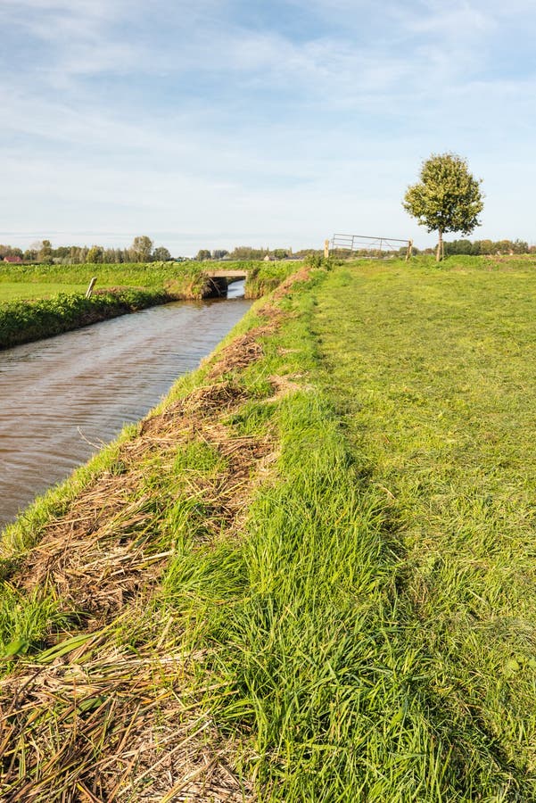 Freshly Mown Grassland Bordering on a Ditch Stock Image - Image of fall ...