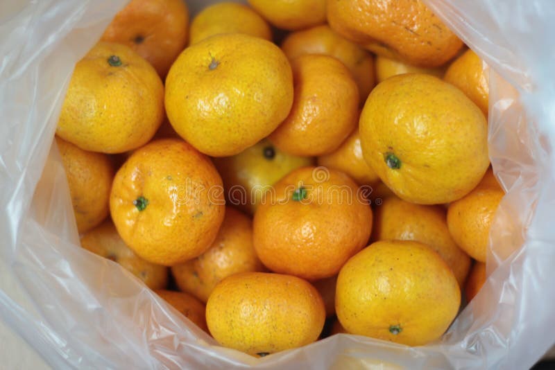 Freshly Oranges stock image. Image of fresh, fruit, vitamin - 91590235