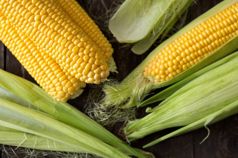 Freshly Organic Harvested Corn Stock Photo - Image of macro, object ...
