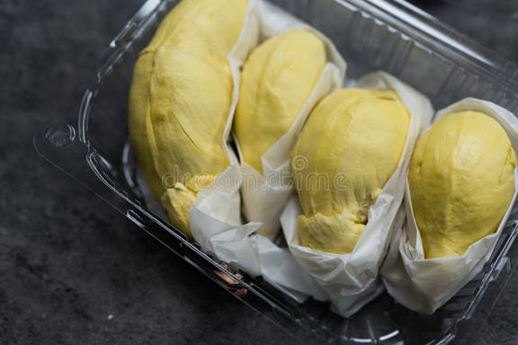 Freshly Packed Durians in Plastic Box Stock Photo - Image of plastic ...