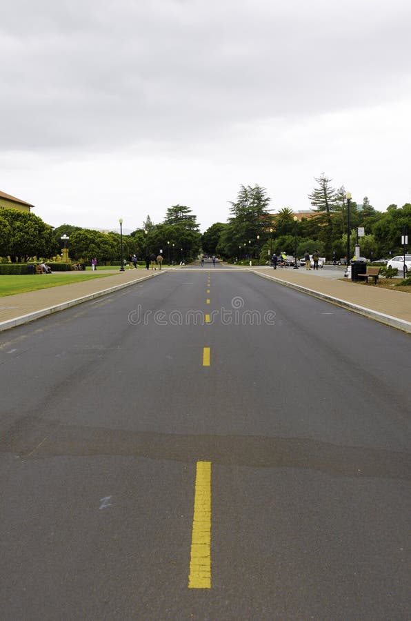 A Freshly Paved Asphalt Road with a Smooth, Dark Surface Features a ...