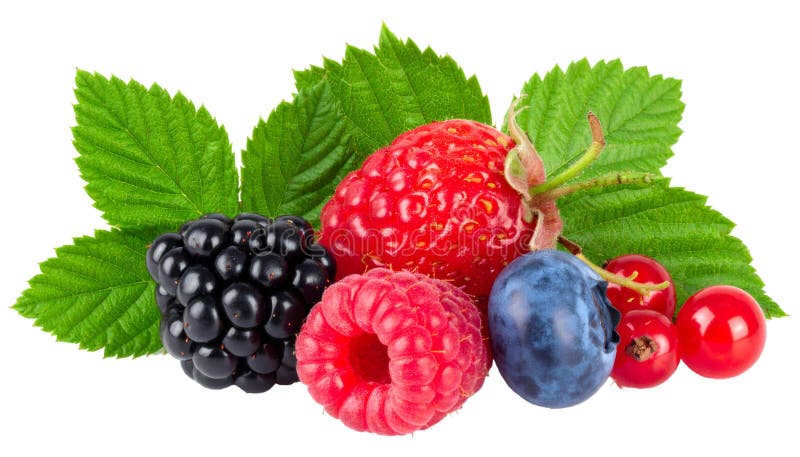 Freshly Picked Berries with Leaves Isolated on Transparent Background ...