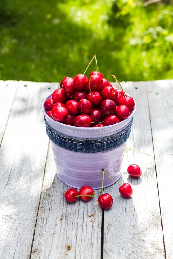 Freshly Picked Cherry Fruit Decorative Bucket Stock Photo - Image of ...