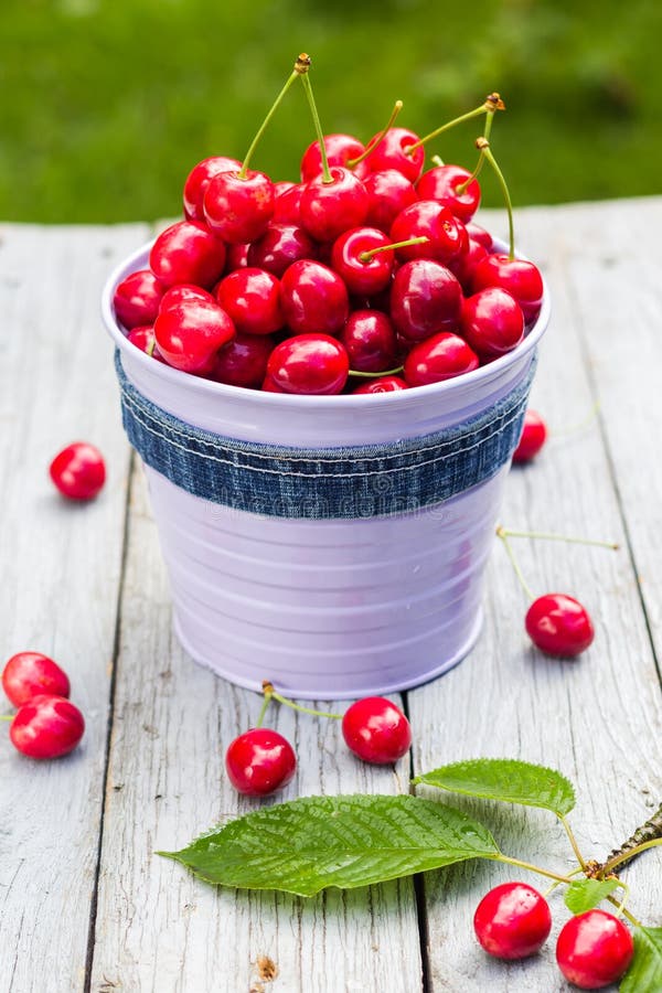 Freshly Picked Cherry Fruit Decorative Bucket Stock Image - Image of ...