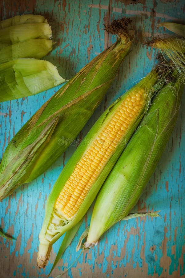 Maize, Sweet Corn, Corn Field, in Sundown Stock Image - Image of ...