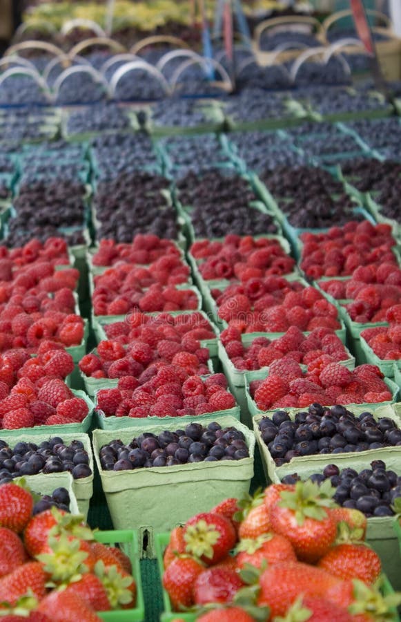 Fresh Berries at Farmers Market Stock Photo - Image of bright, carton ...