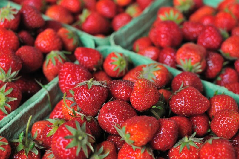 Freshly picked fruits stock image. Image of carton, delicious - 19945441