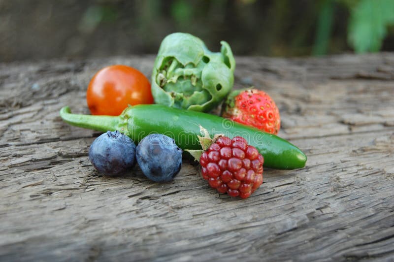 Freshly Picked Fruits and Vegetables Stock Image - Image of berry ...