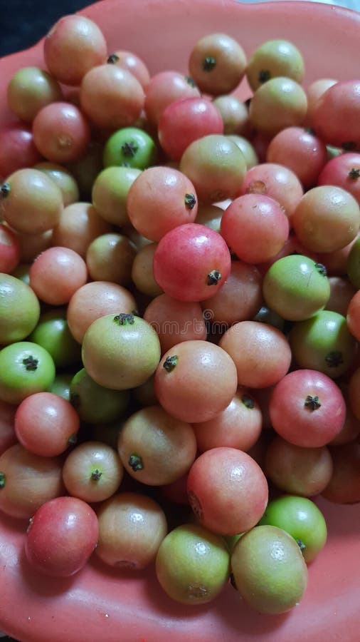 Gersen Fruits Stock Photos - Free & Royalty-Free Stock Photos from ...