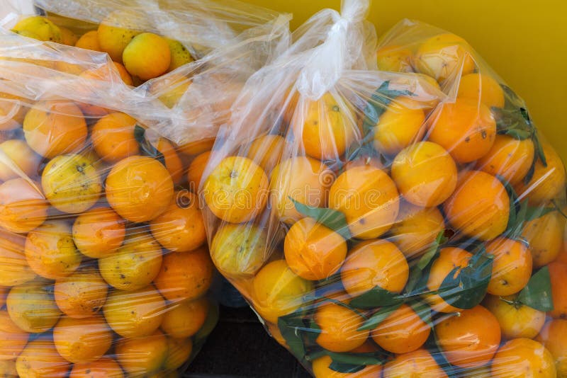 Freshly Picked Clementine Oranges Stock Image - Image of diet ...