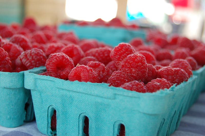 Red raspberries stock photo. Image of mint, idaeus, green - 19821222