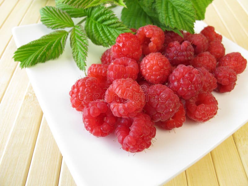 Freshly picked raspberries stock image. Image of leaves - 32631273