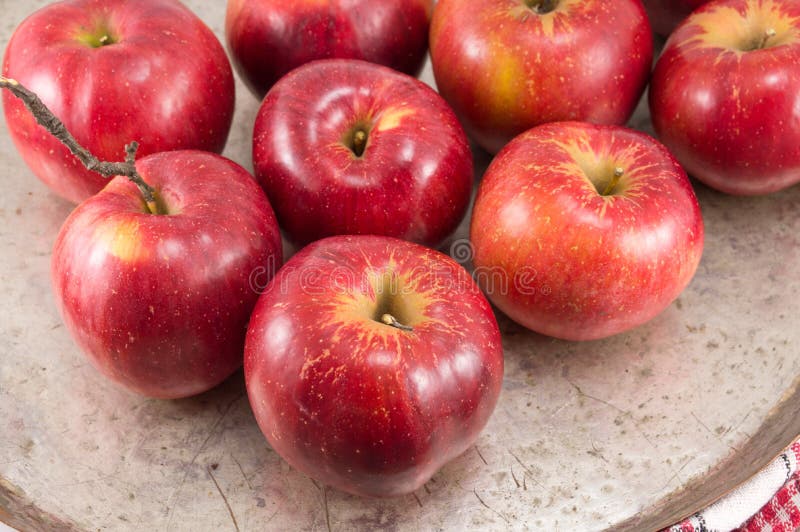 Freshly Picked Red Apples on a Plate Stock Image - Image of picked ...