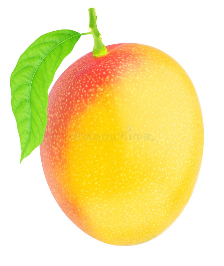 9,812 Single Mango Stock Photos - Free & Royalty-Free Stock Photos from ...