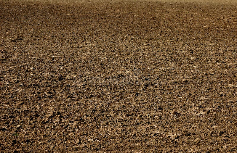 Freshly Planted Dirt for Agriculture. Stock Photo - Image of industry ...