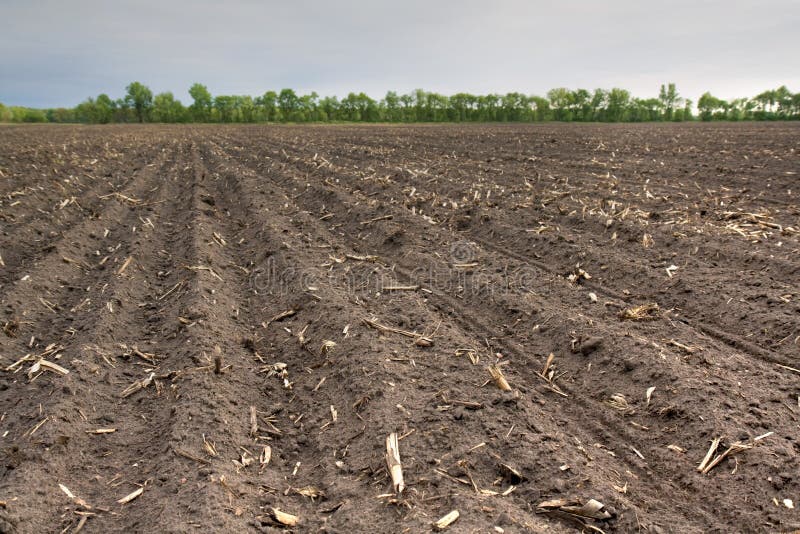 Freshly planted field stock photo. Image of close, brown - 15277382