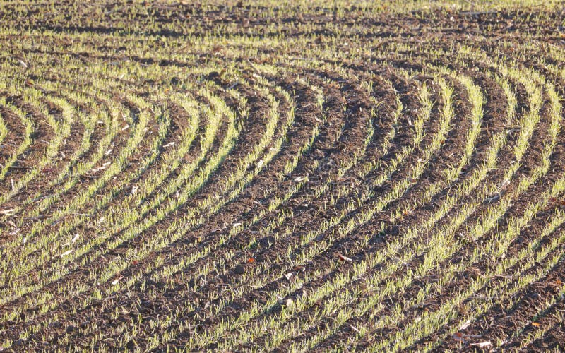 Freshly Planted Farm Land and Pattern Stock Photo - Image of brown ...