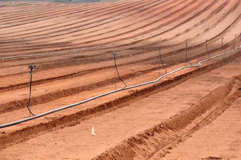 Freshly plowed farm field stock photo. Image of equipment - 33287016
