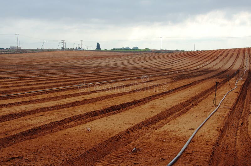 490 Tilled Farm Field Crop Stock Photos - Free & Royalty-Free Stock ...