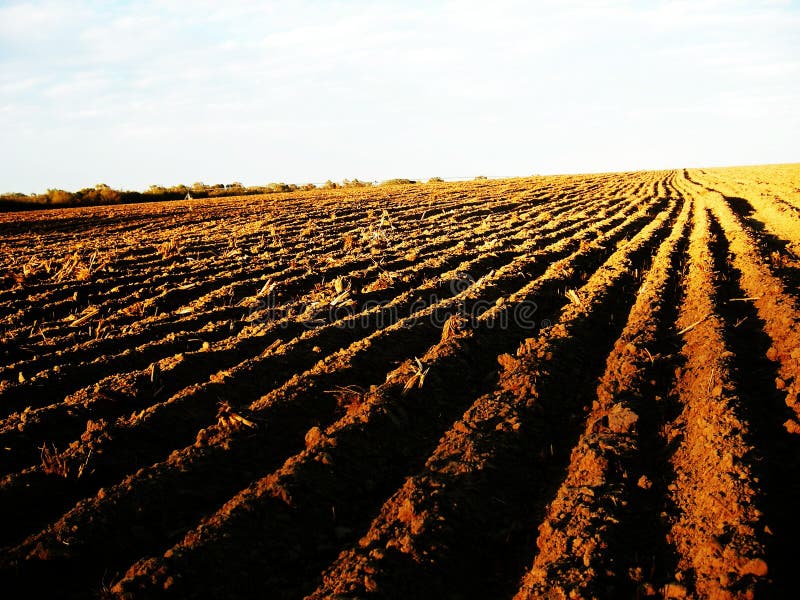 Freshly Plowed Field stock image. Image of plow, plowed - 2542099
