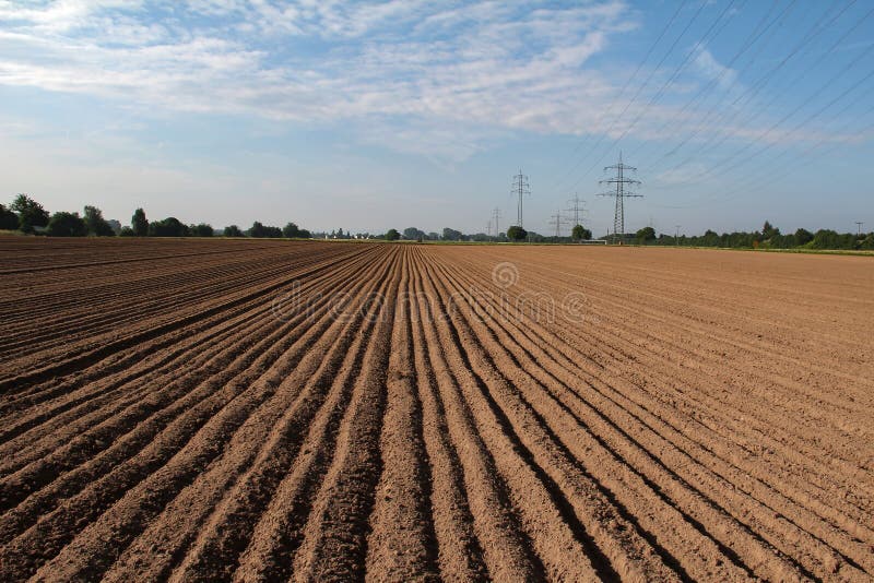 Freshly plowed field stock photo. Image of cultivated - 124083454