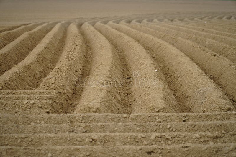 Freshly Plowed Field with Nice Curved and Bending Rows Stock Image ...
