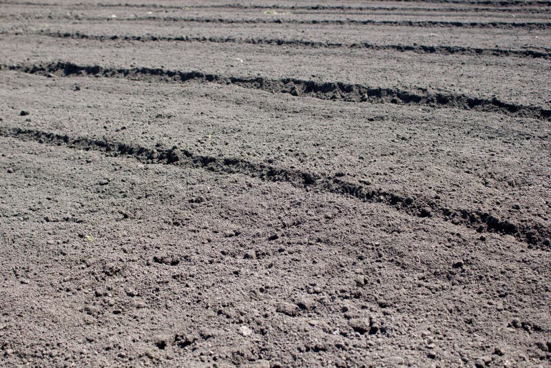 Fresh Plowed Ground Ready For Cultivation Stock Photo - Image of ...