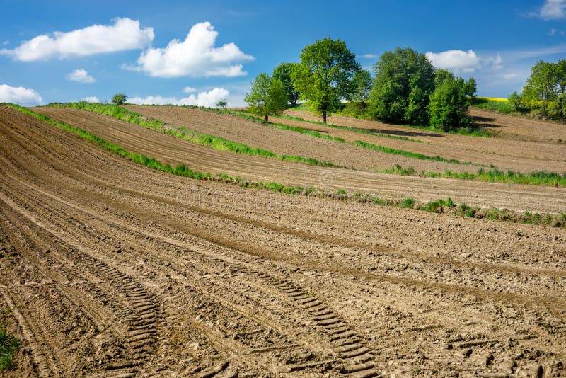 Freshly plowed land stock image. Image of white, plowed - 116966619