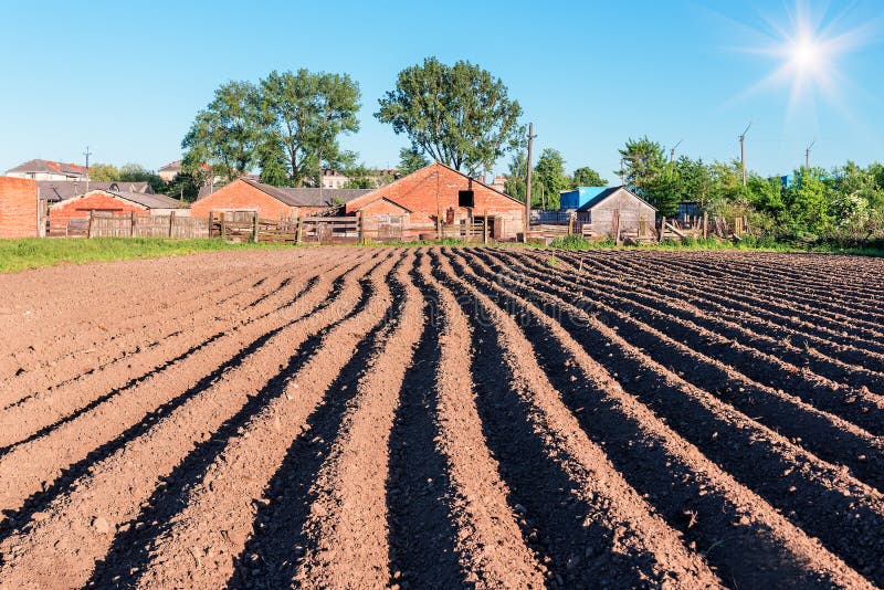 Plowing field and farm stock photo. Image of dust, country - 101030376