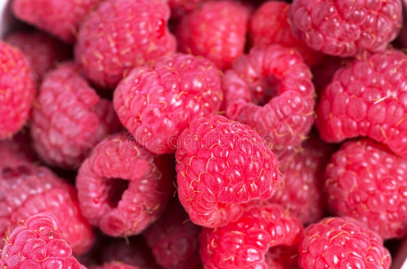 Freshly raspberries stock image. Image of ingredient - 59188825