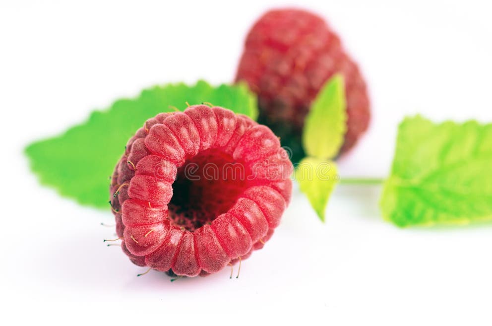 Freshly raspberries stock photo. Image of cooking, fresh - 59189122