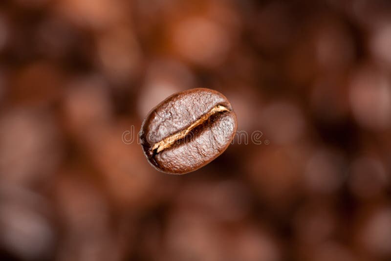 Freshly Roasted Coffee Bean Stock Photo - Image of gourmet, caffeine ...