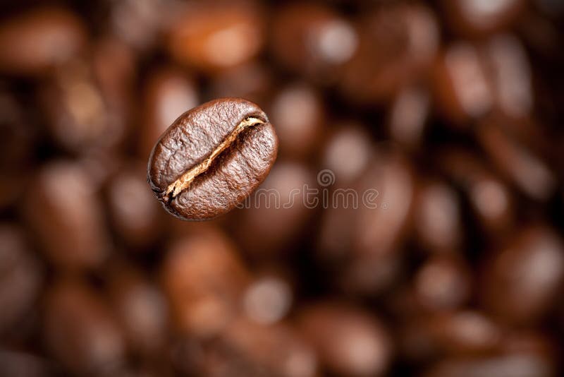 Freshly Roasted Coffee Bean Stock Photo - Image of group, beans: 11892050