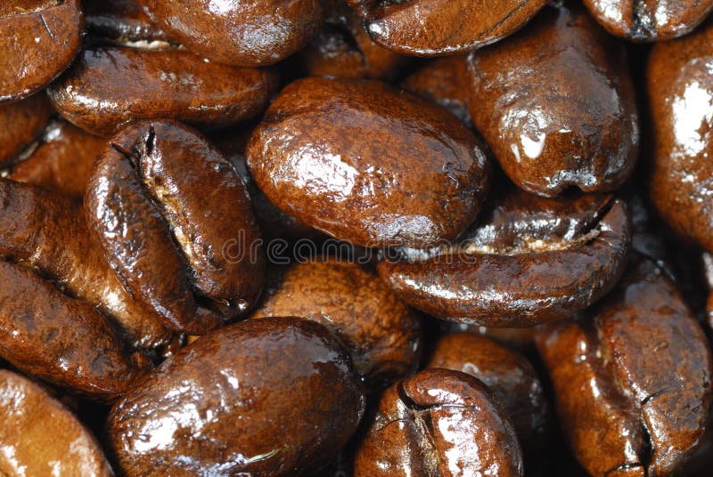 Freshly Roasted Coffee Beans Stock Image - Image of cafeteria, addict ...