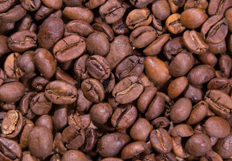 Freshly Roasted Coffee Beans, Arabica, Robusta, Mix, Macro Photo Stock ...