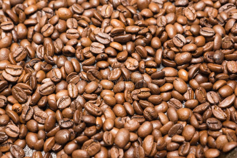 Freshly Roasted Coffee Beans Stock Photo - Image of aroma, closeup ...