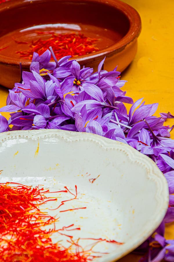 Freshly Rolled Strand Saffron on White Plate and Background of Purple ...