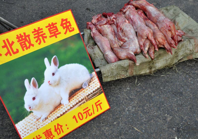 Freshly Skinned Rabbit editorial stock photo. Image of fresh - 22911733