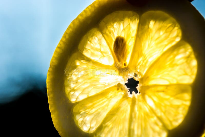 Freshly Sliced Lemon in Backlight with Pit Stock Photo - Image of ...