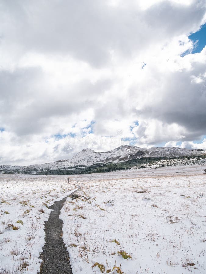 Freshly Snowed Mountains Pass with Path Leading through it, Vertical ...
