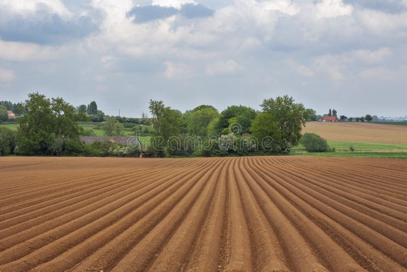 Sowed field stock image. Image of crops, greens, autumn - 12022875