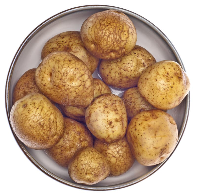 Freshly Washed White Potatoes Stock Image - Image of white, washed ...