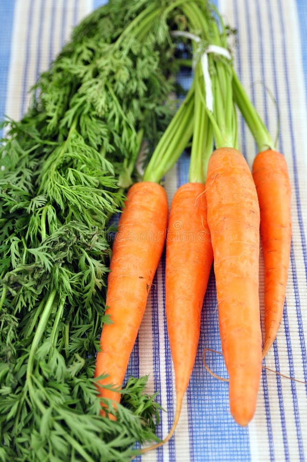 Freshly Washed Whole Carrots Stock Image - Image of cutting, market ...