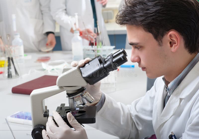 Freshman stock photo. Image of research, microscope, science - 20080690