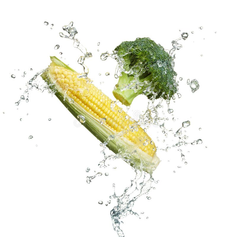 Freshness of vegetables stock photo. Image of water, splash - 11326638