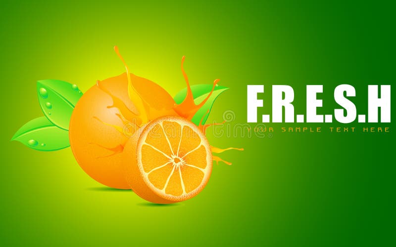 Freshness stock vector. Illustration of citrus, pulp - 24812586