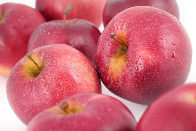 Freshness apple stock image. Image of juicy, food, portion - 11995979