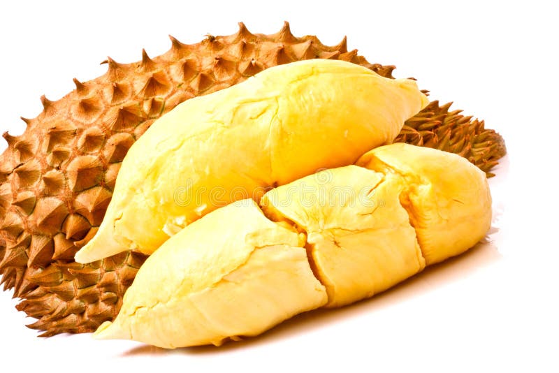 Freshness Durian Fleshs on White Stock Image - Image of sweet ...