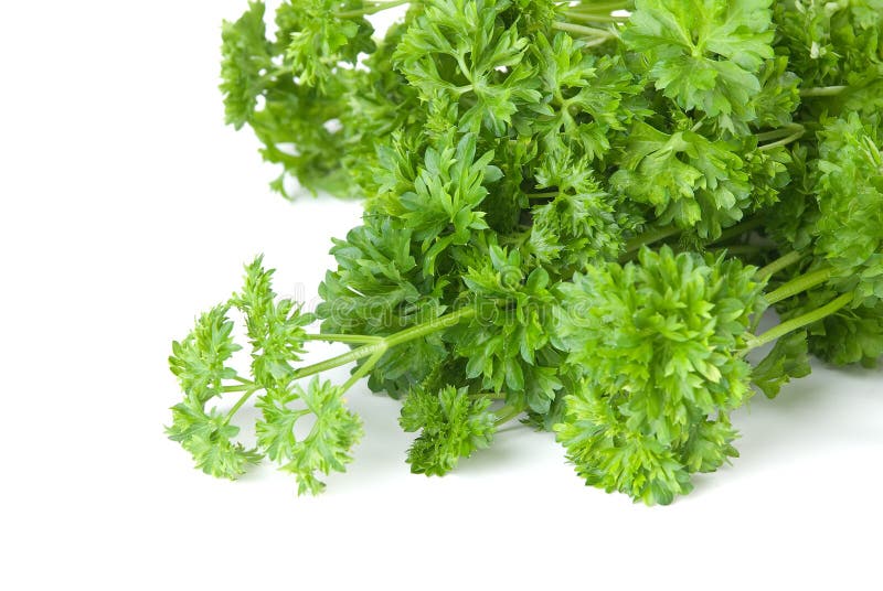 Green parsley stock image. Image of green, parsley, packages - 102458829
