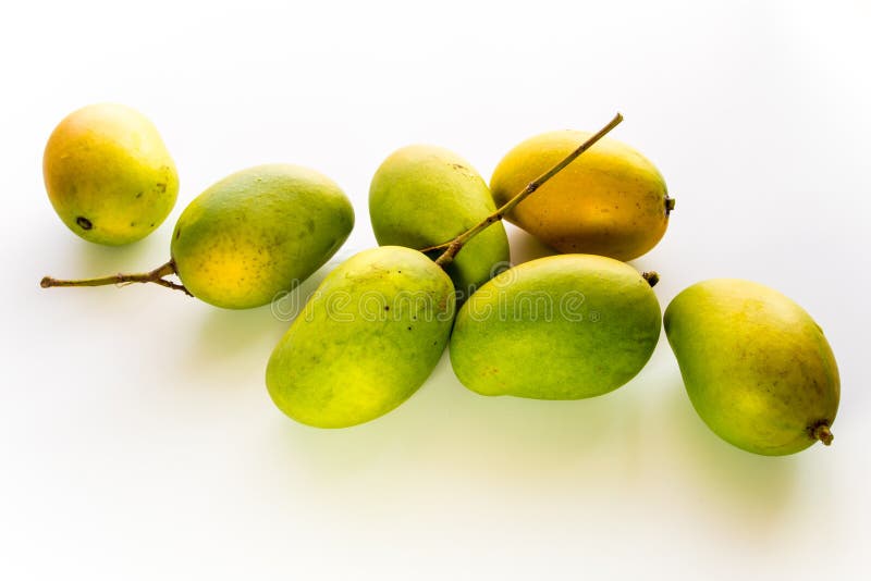 Freshness Mango on White Background Stock Photo - Image of organic ...